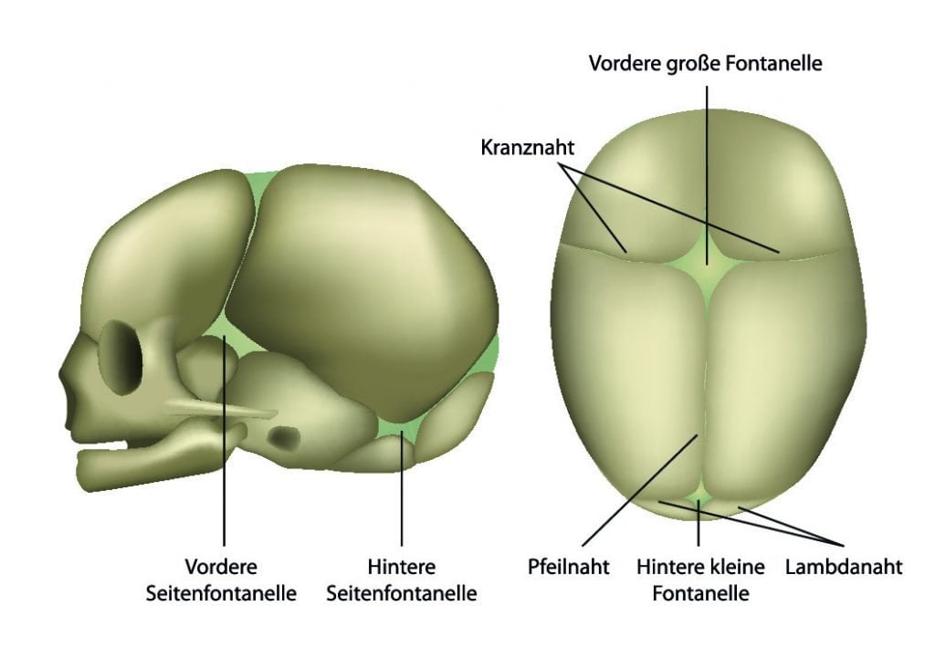 Fontanelle eingefallen beim Baby: Infos zu Gründen & Behandlung